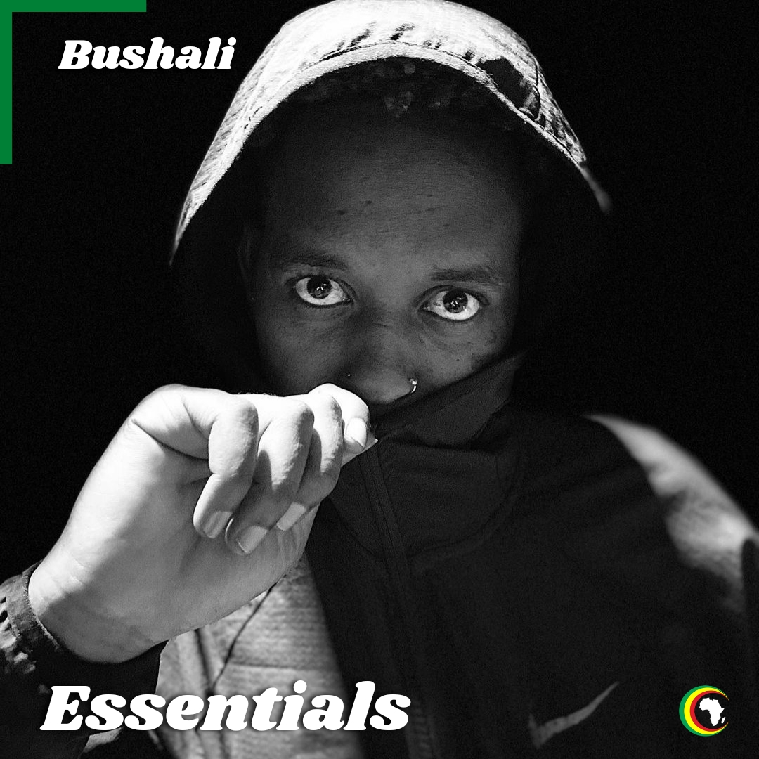 Bushali Essentials | Playlist - AfroCharts