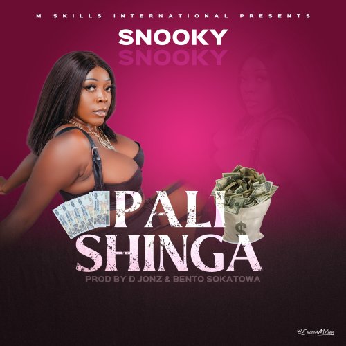 Pali Shinga by Snooky Zambia - AfroCharts