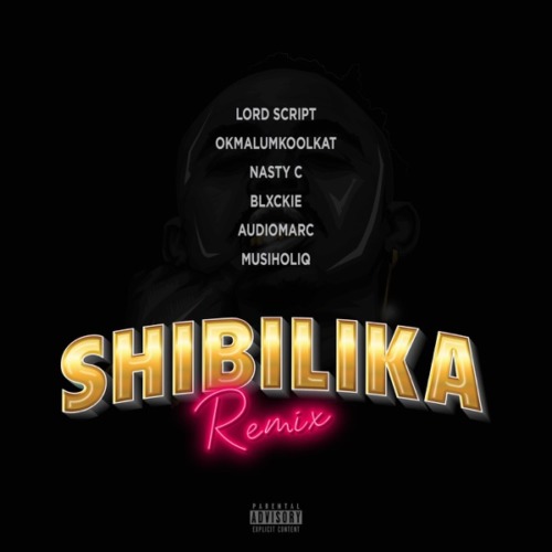 Shibilika (Ft Nasty C, Blxckie, MusiholiQ, OkmalumKoolKat, Audiomarc ...